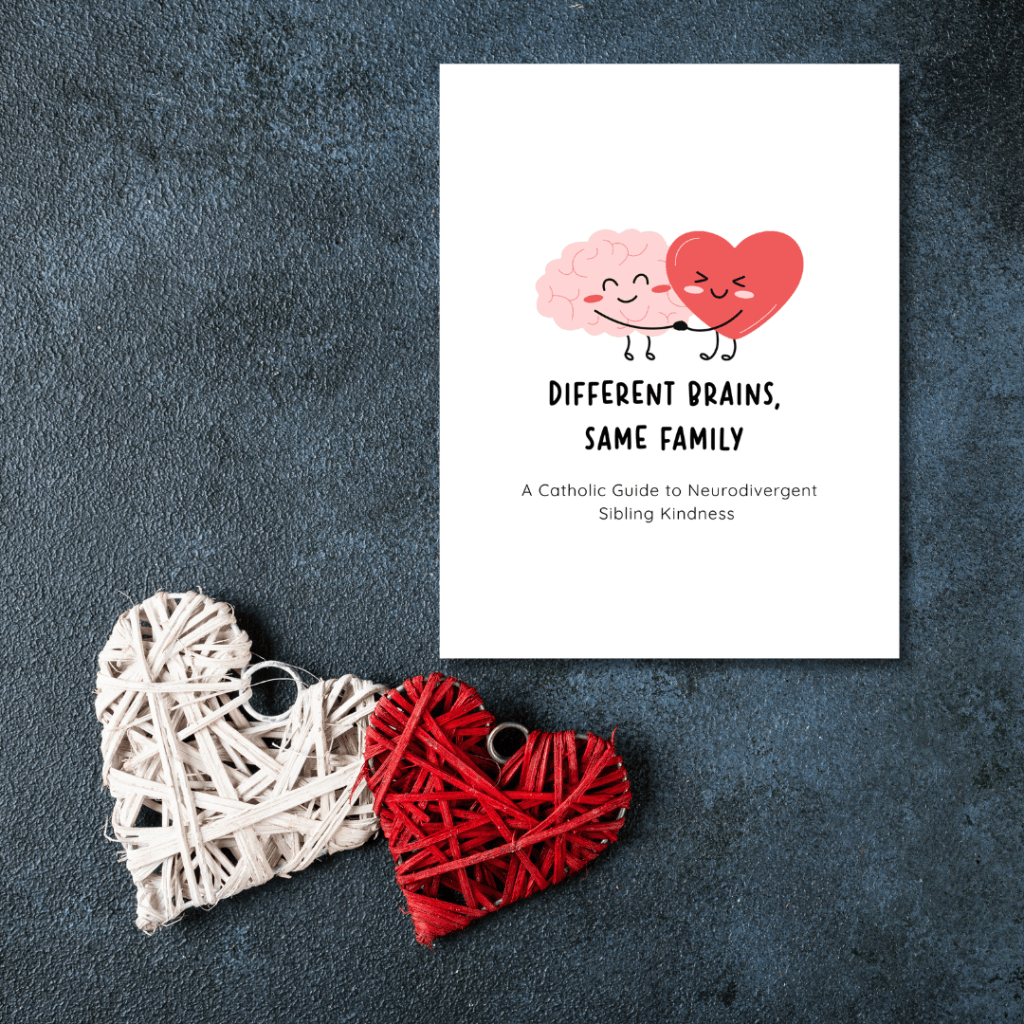 Different Brains, Same Family: A Catholic Guide to Neurodivergent ...